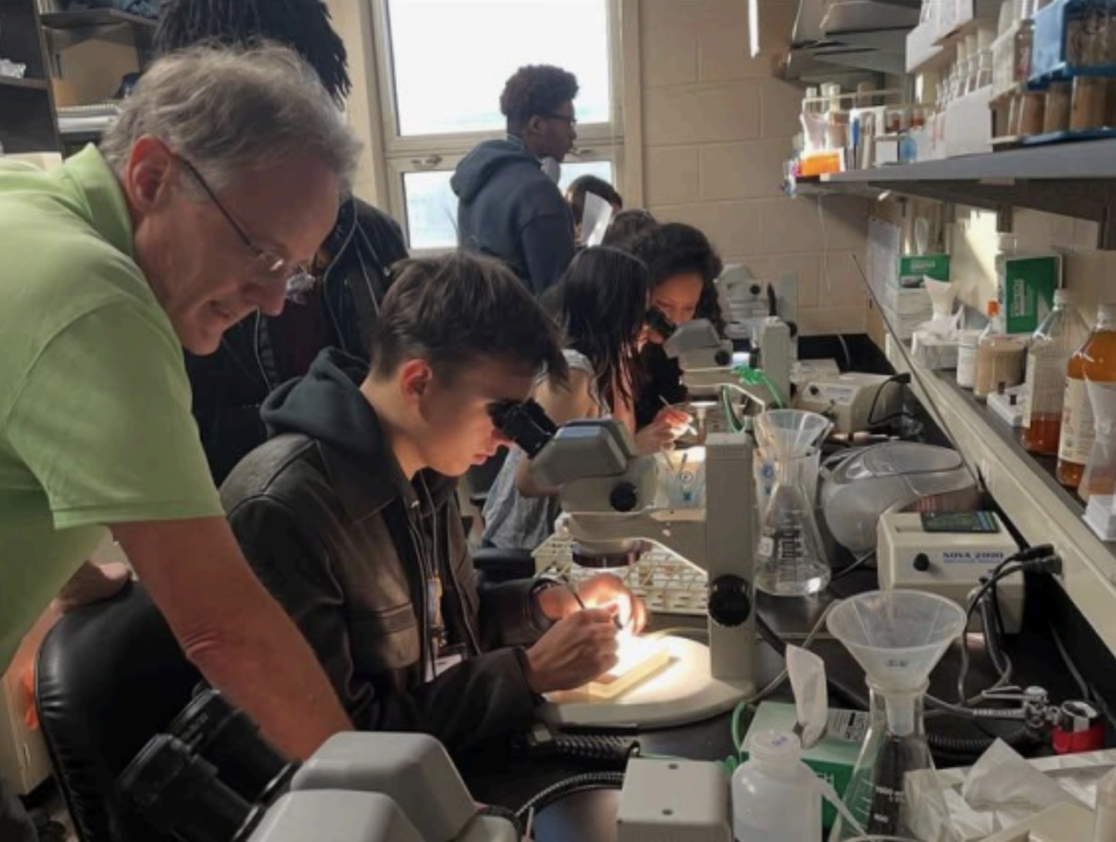 Montefiore Einstein Partnership – BEC Bronx